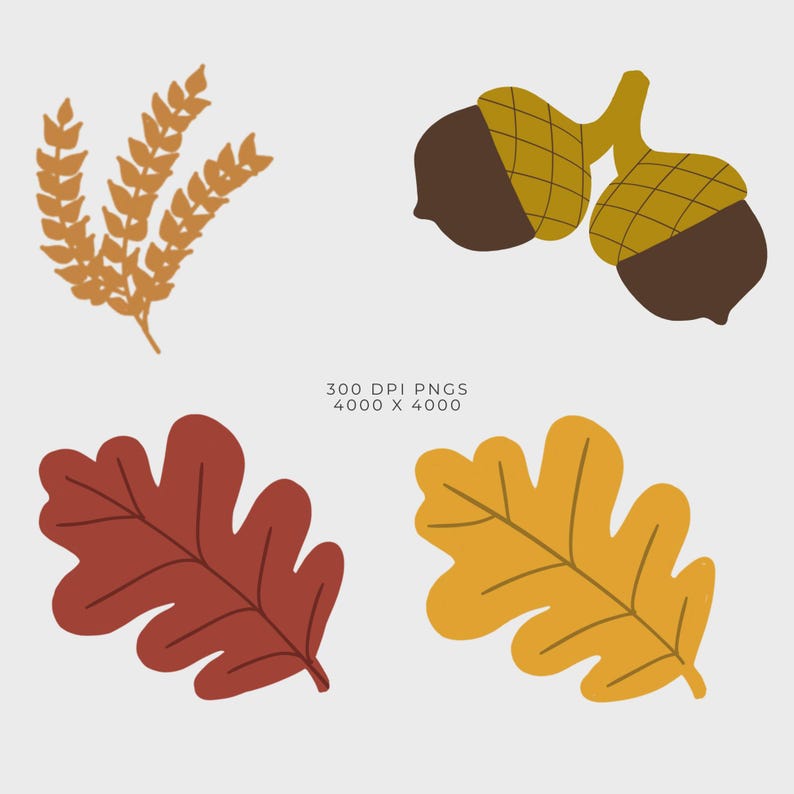 Thanksgiving Clipart: Hand-drawn Turkey, Puritan, Corn (PNG Digital ...