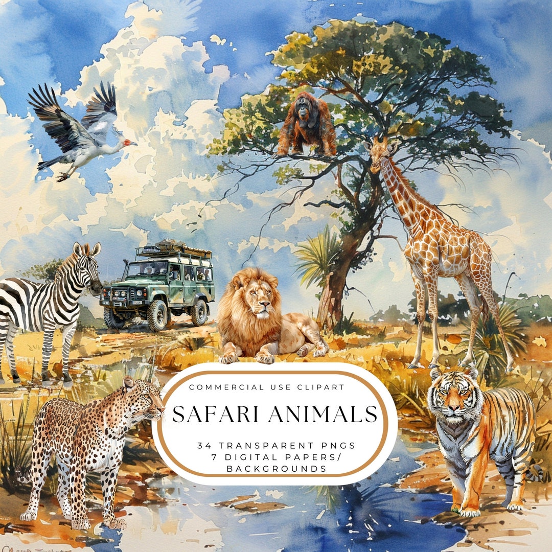 Watercolor Safari Animals Clipart | Safari Pngs | Lion, Elephant, Zebra ...