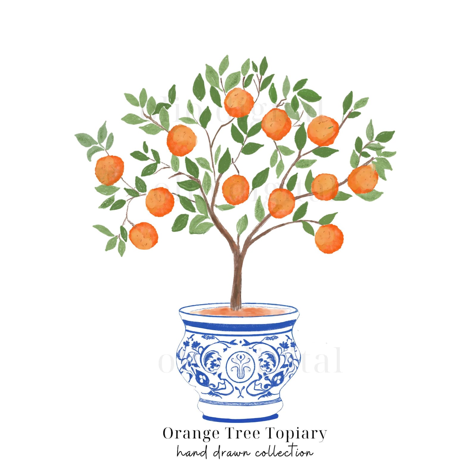 Chinoiserie Orange Tree Topiary PNG: Hand-drawn Watercolor Clipart ...
