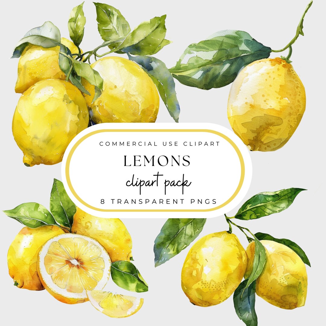 Lemon PNG, Watercolor Clipart, Mediterranean Fruit on Stem With Leaves ...