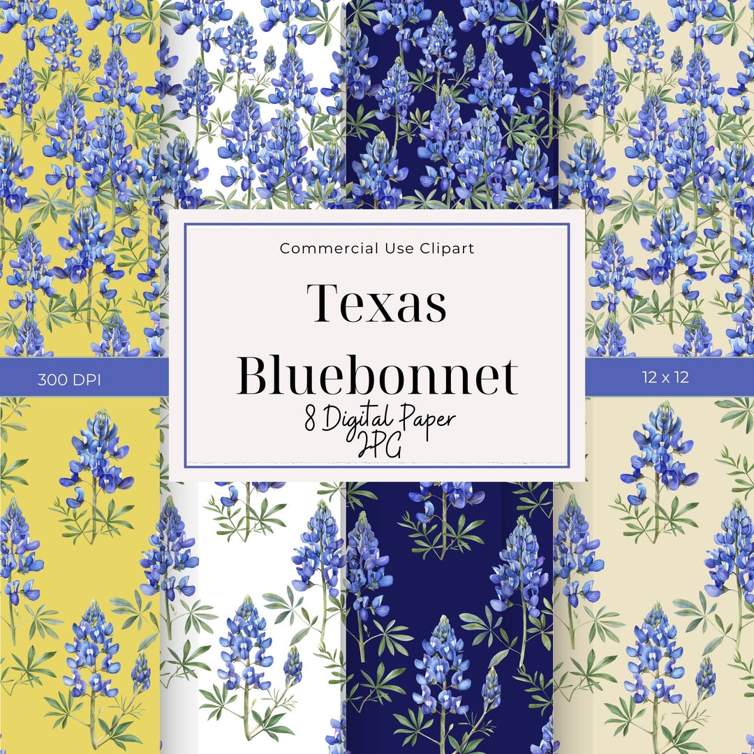 Texas Bluebonnet Digital Paper: Watercolor Floral Design (JPG, 12x12 ...