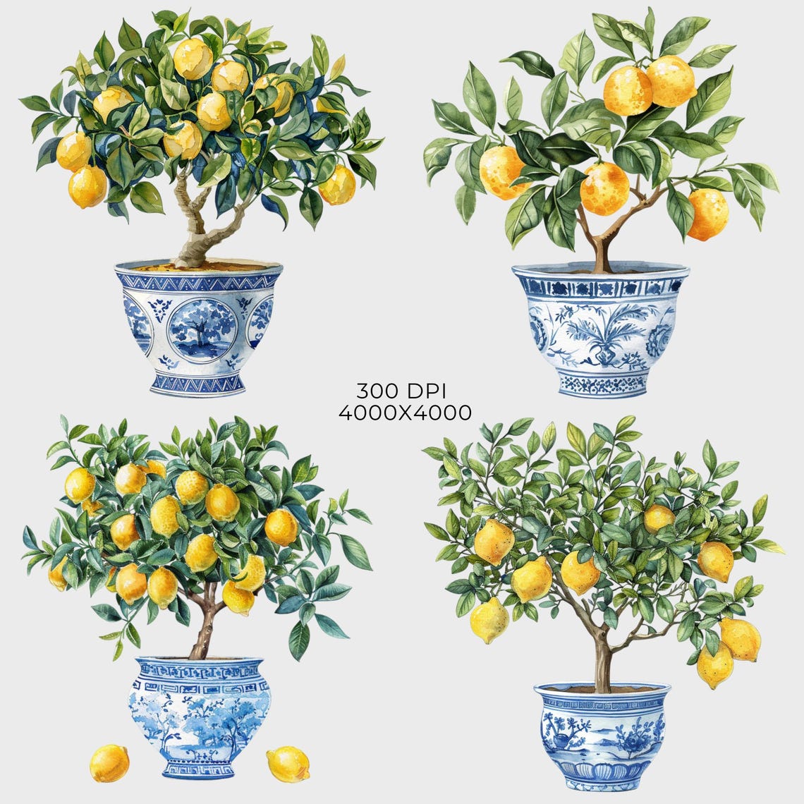 Lemon Tree Topiary PNG, Chinoiserie, Clipart Pack, Blue and White Toile ...