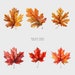 Watercolor Autumn Clipart: Pumpkins, Scarecrow, Acorns (PNG Digital ...