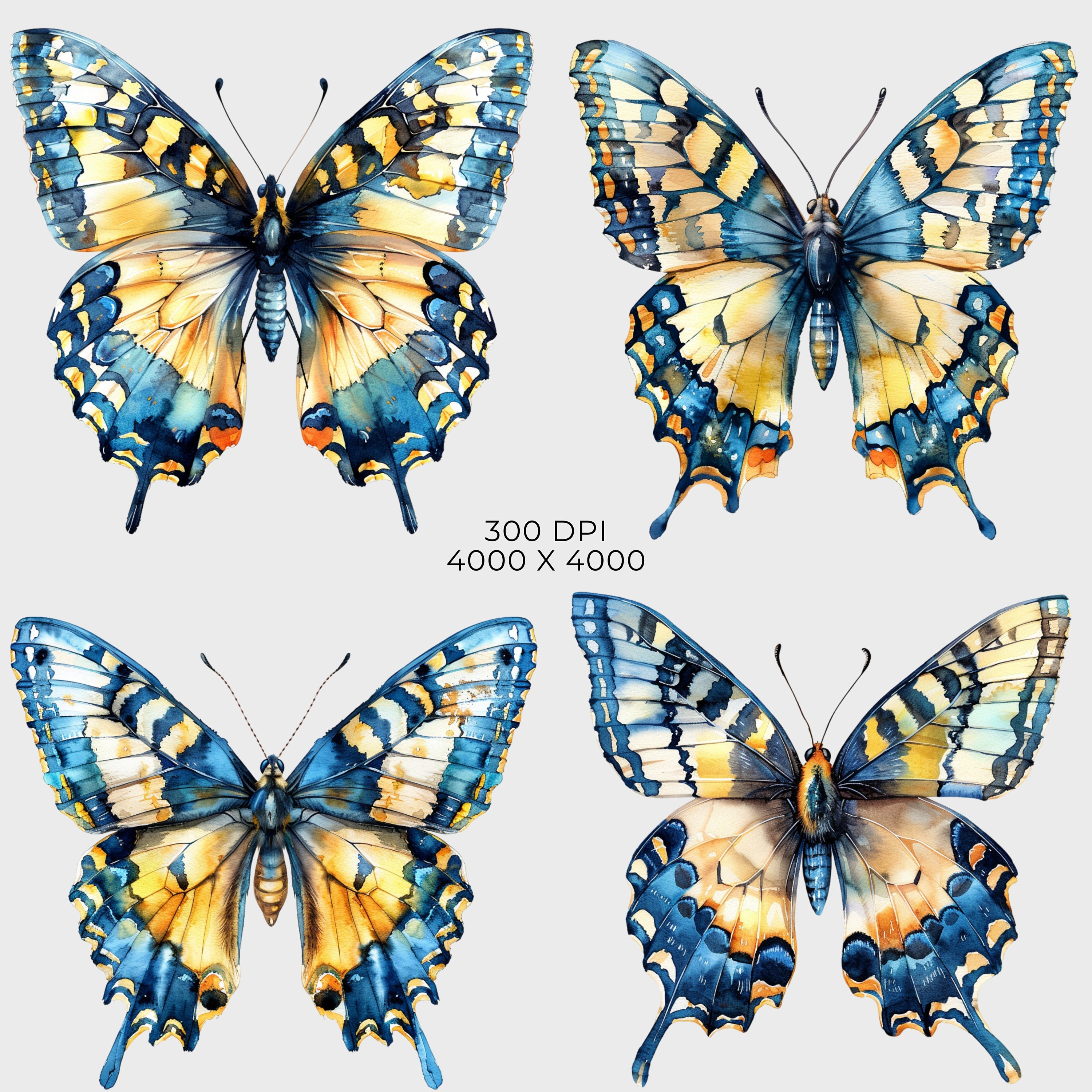 Blue Butterfly Watercolor Clipart: PNG Bundle (digital Download) - Etsy