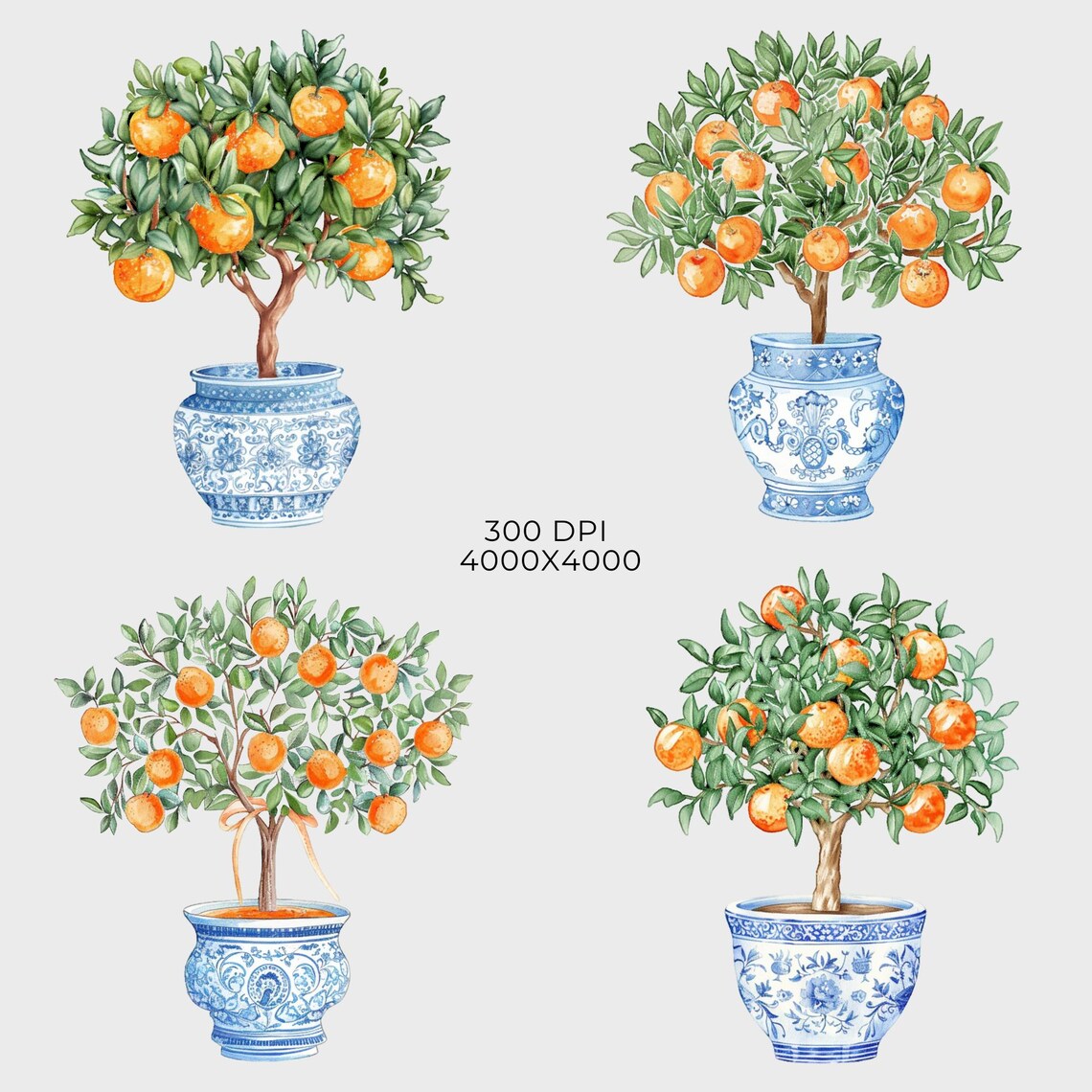 Chinoiserie Orange Tree Topiary Clipart: Blue & White Planters (PNG) - Etsy