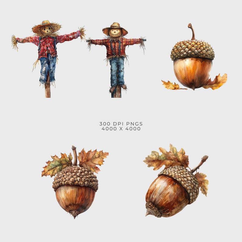 Watercolor Autumn Clipart: Pumpkins, Scarecrow, Acorns (PNG Digital ...