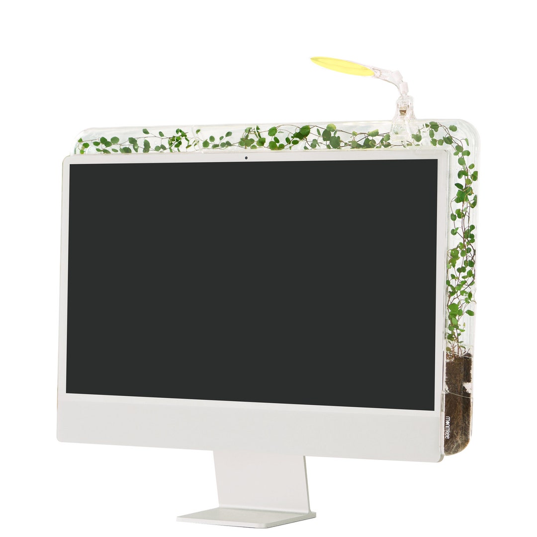 Vines That Grow Along the Monitor Indoor Garden Kit, Grow Light, Plant ...