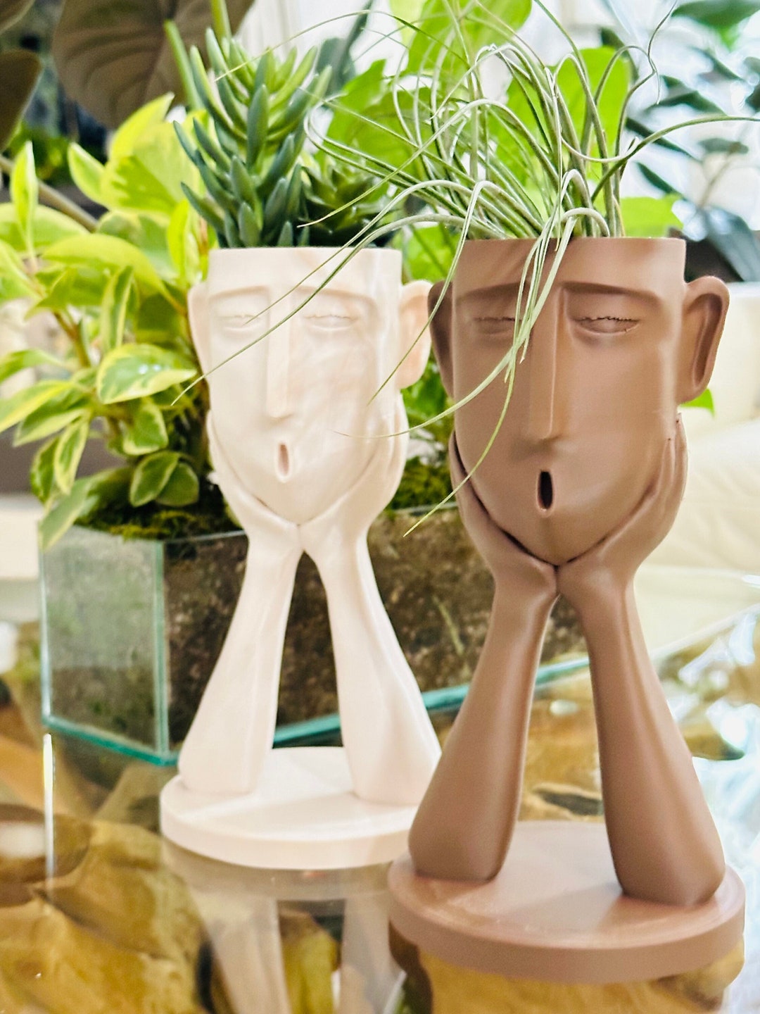 Cute Succulent Head Face Planter Modern Flower Pot 3D Printed - Etsy