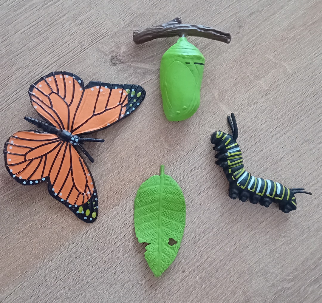 Life Cycle of a Butterfly Figures X4 Educational Learning Through Play ...