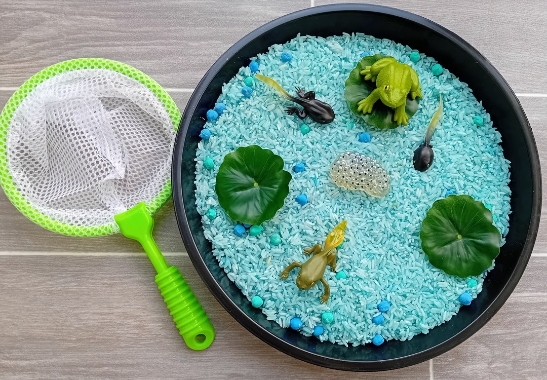 Frog Life Cycle Sensory Tray Filler Mix Sensory Activity Learn Through ...