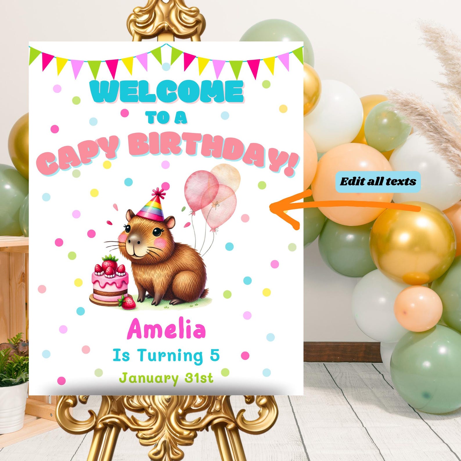 Editable Capy Birthday Capybara Party Welcome Sign Template, Printable ...