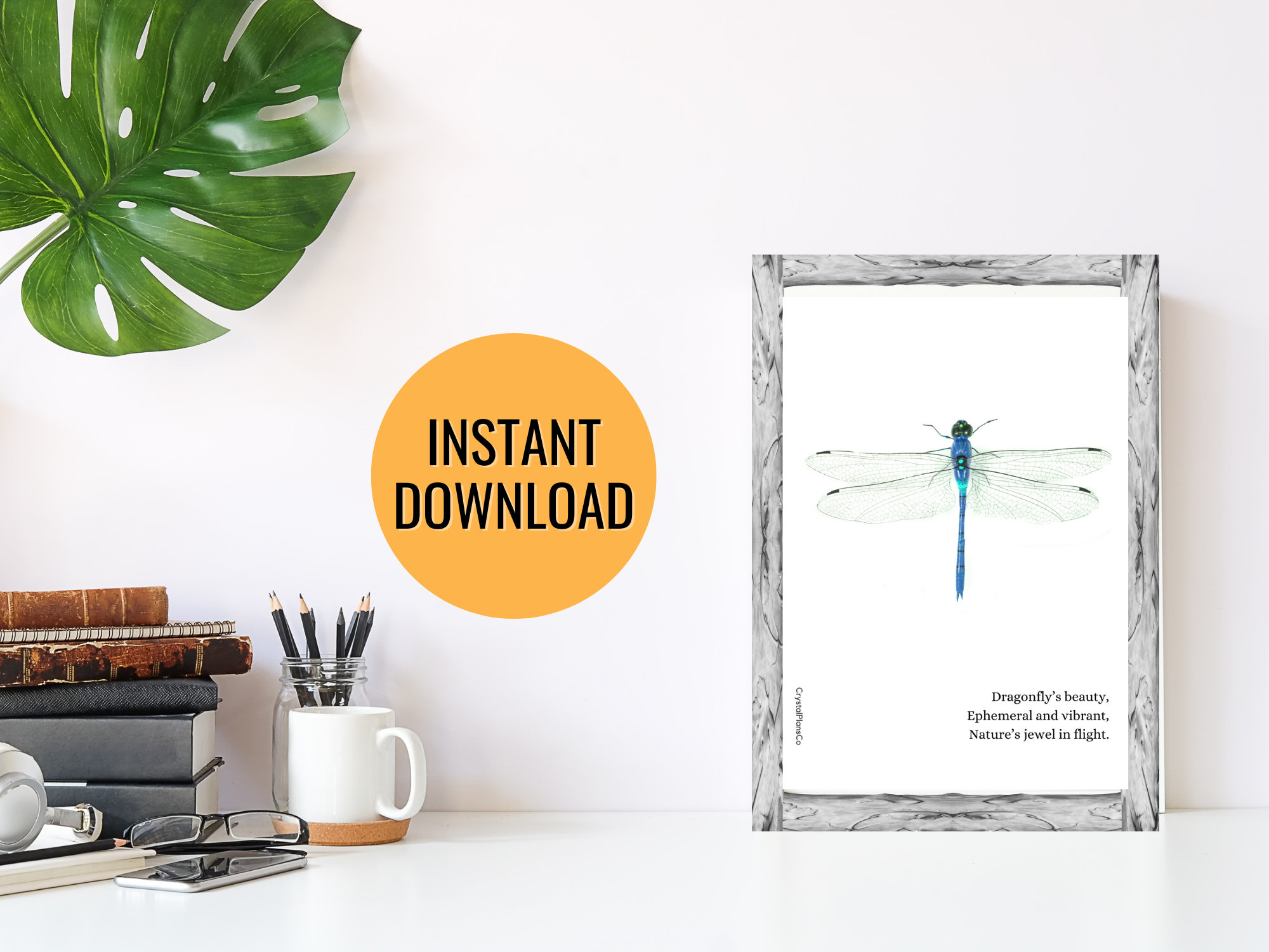 Dragonfly Printable Planner Dashboard Desk Photo A6 A5 - Etsy
