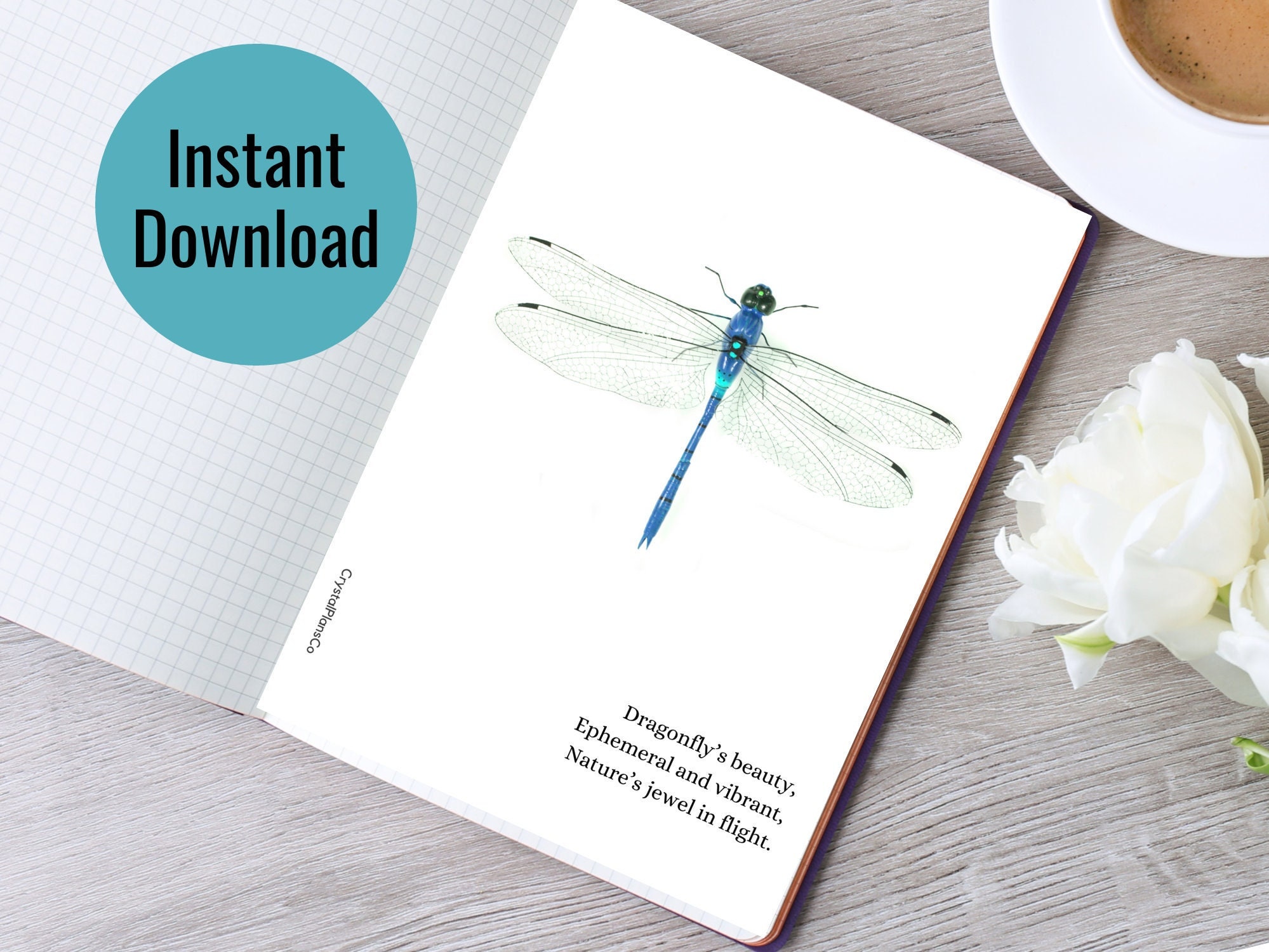 Dragonfly Printable Planner Dashboard Desk Photo A6, A5, Passport, B6 ...