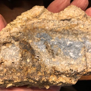 Exceptional XL Blue Calcedony Crinoids and Oolite Tennessee Specimen ...