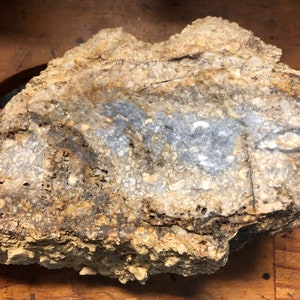Exceptional XL Blue Calcedony Crinoids and Oolite Tennessee Specimen ...