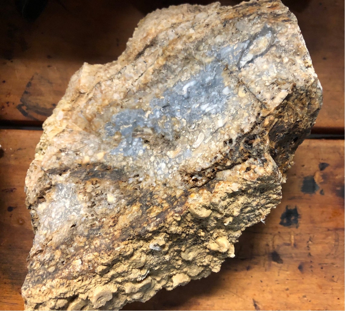 Exceptional XL Blue Calcedony Crinoids and Oolite Tennessee Specimen ...