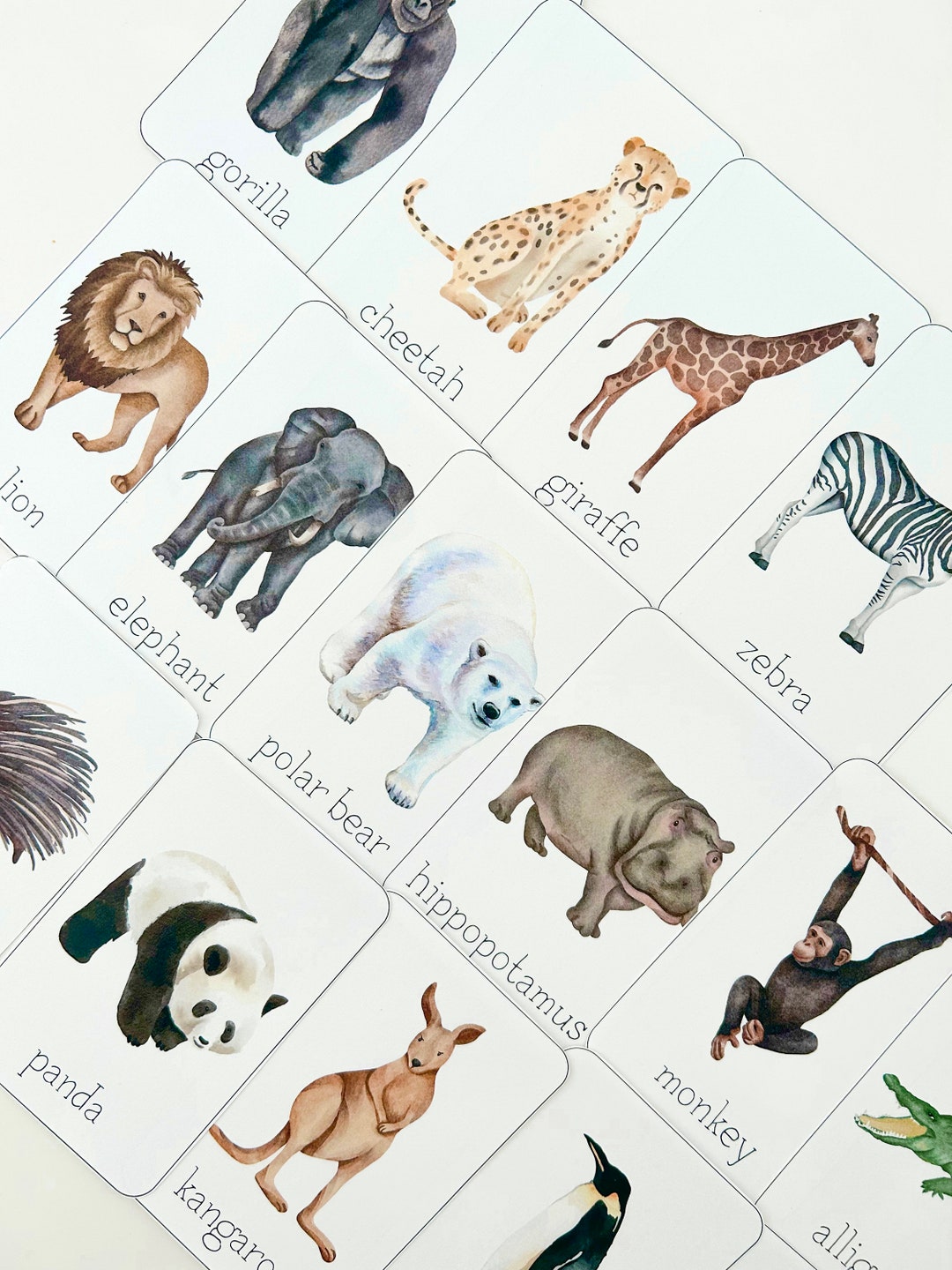 Home School Montessori Early Learning Animal Cards - Etsy