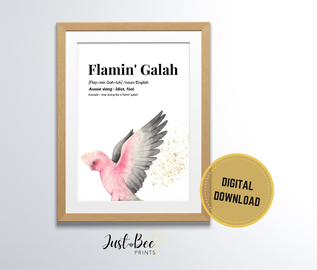 Flamin Gallah Australian Bird, Aussie Slang, Fun Definition Printable ...