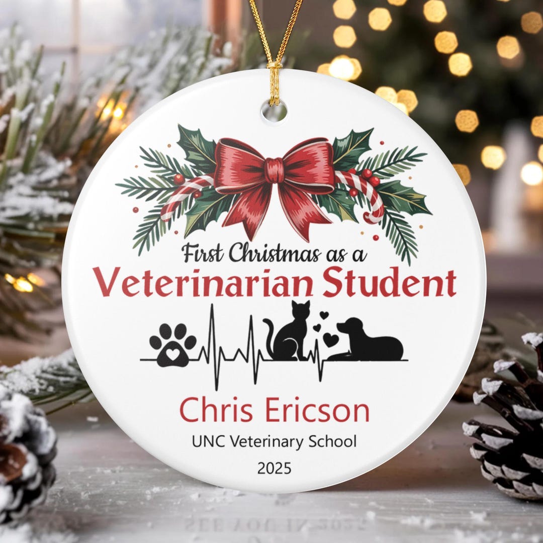 First Christmas as Veterinary Student Ornament, Vet Clinic Gift, Custom ...