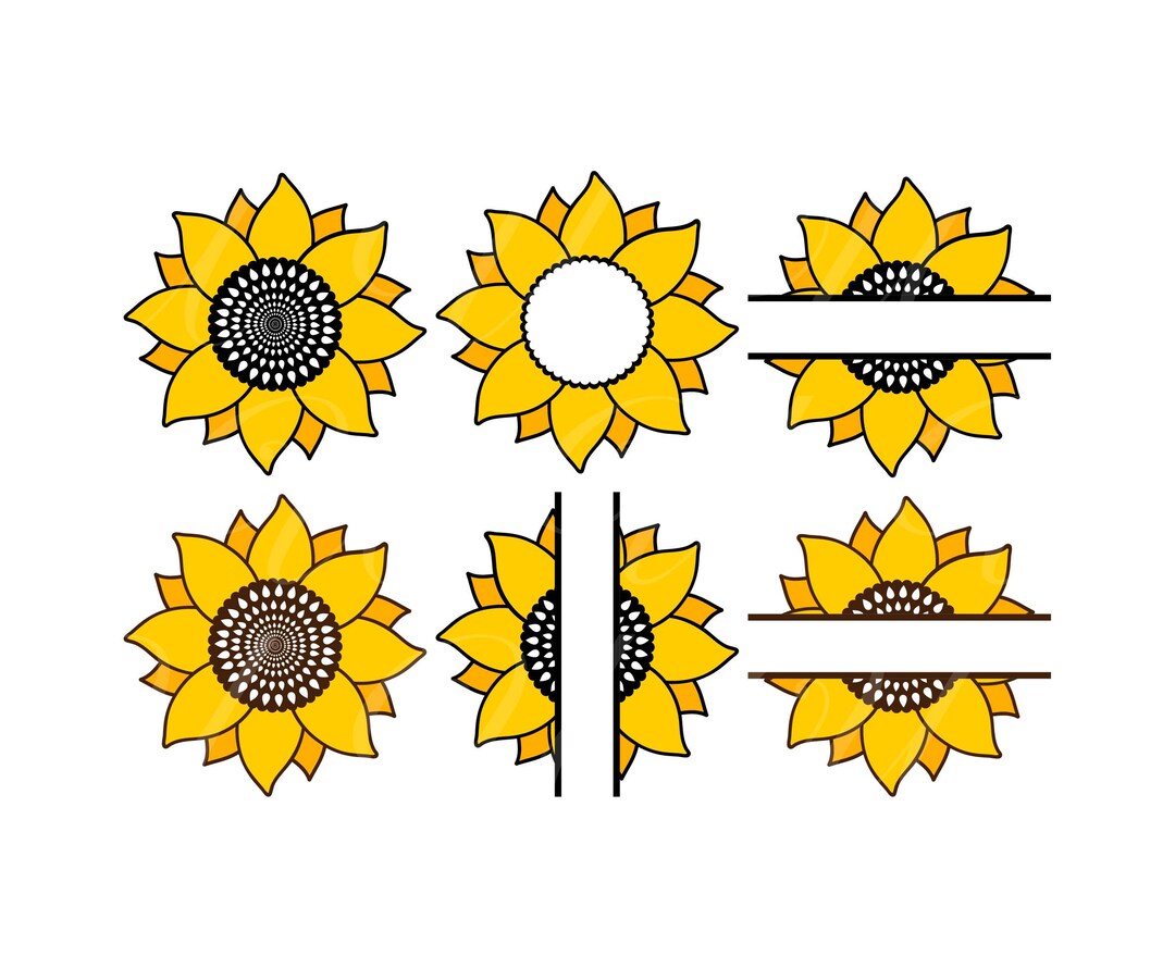 Sunflower SVG, PNG, Sunflowers Bundle, Floral Design, Sunflower ...