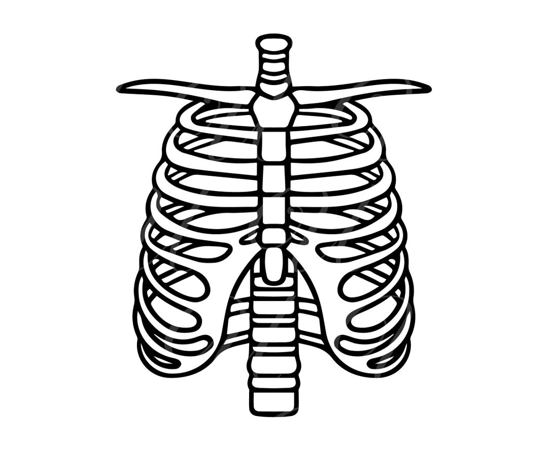 Rib Cage SVG, PNG, PDF, Skeleton Rib Cage Shirt Design, Gothic Bones ...
