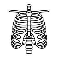 Rib Cage Svg | Skeleton Clipart | Ribs Cutfile | Gothic Bones Dxf ...