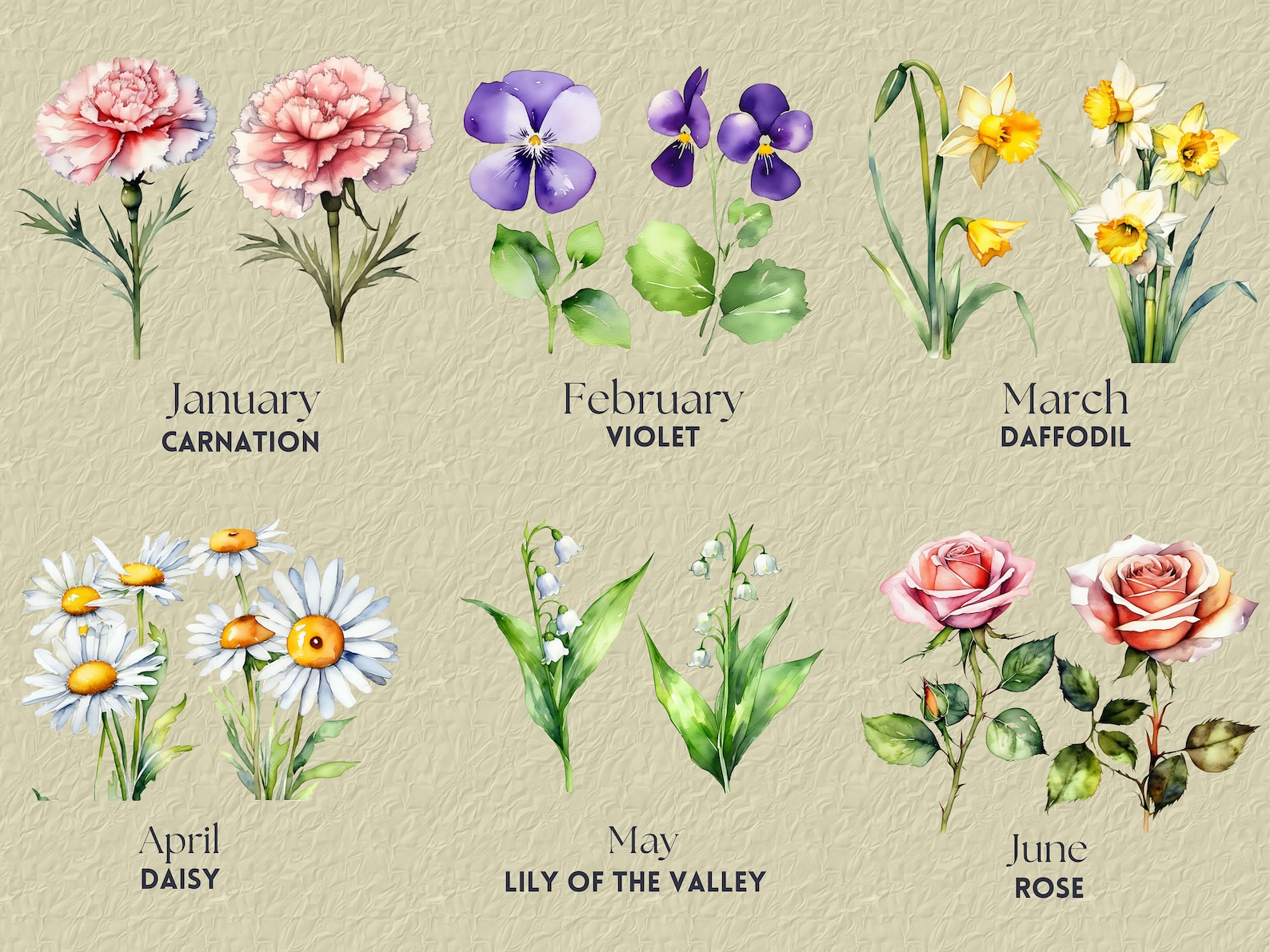 Month Flower Clipart Birthflower Clipart Birth Month Watercolor Clipart ...