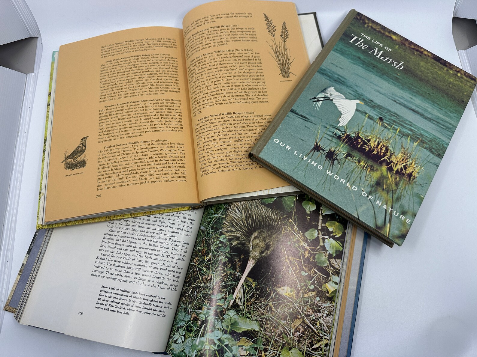 Our Living World of Nature Vintage Books on Natural Environments ...
