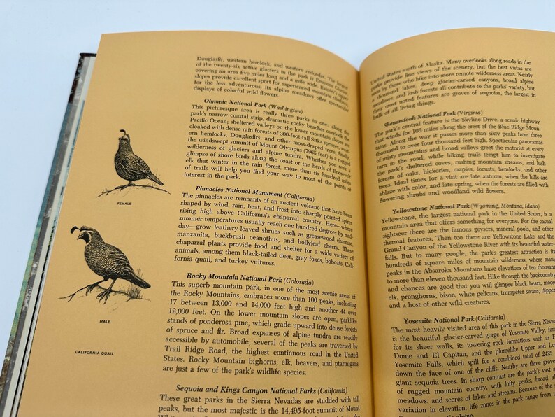 Our Living World of Nature Vintage Books on Natural Environments ...