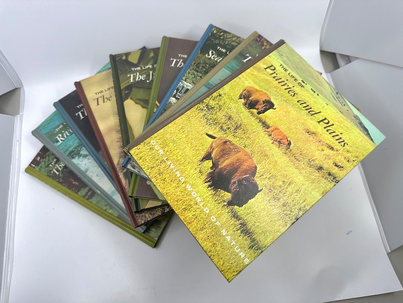 Our Living World of Nature Vintage Books on Natural Environments ...