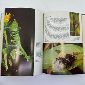 Our Living World of Nature Vintage Books on Natural Environments ...