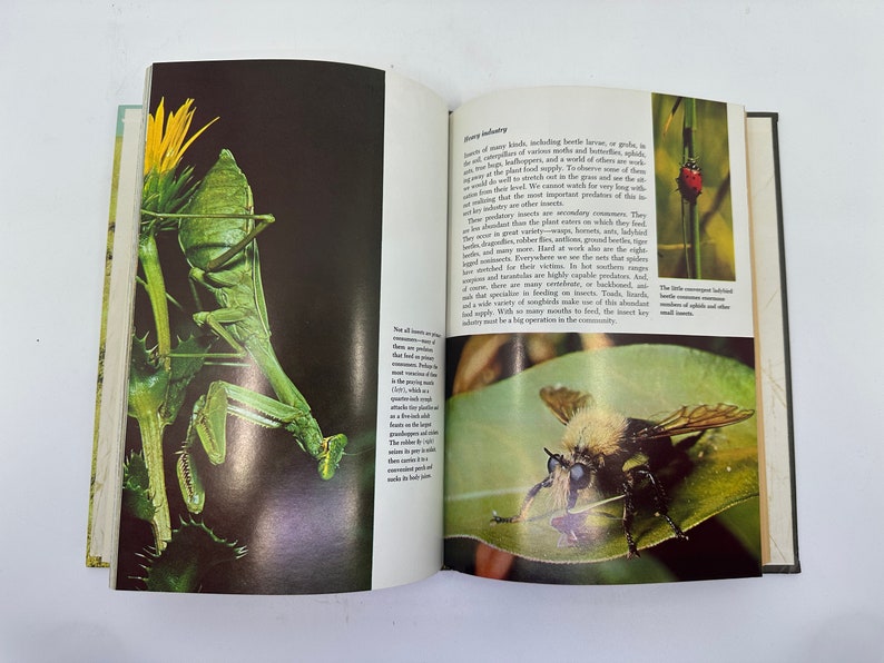 Our Living World of Nature Vintage Books on Natural Environments ...