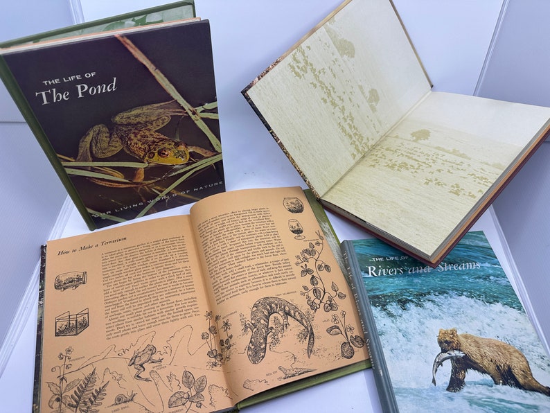 Our Living World of Nature Vintage Books on Natural Environments ...