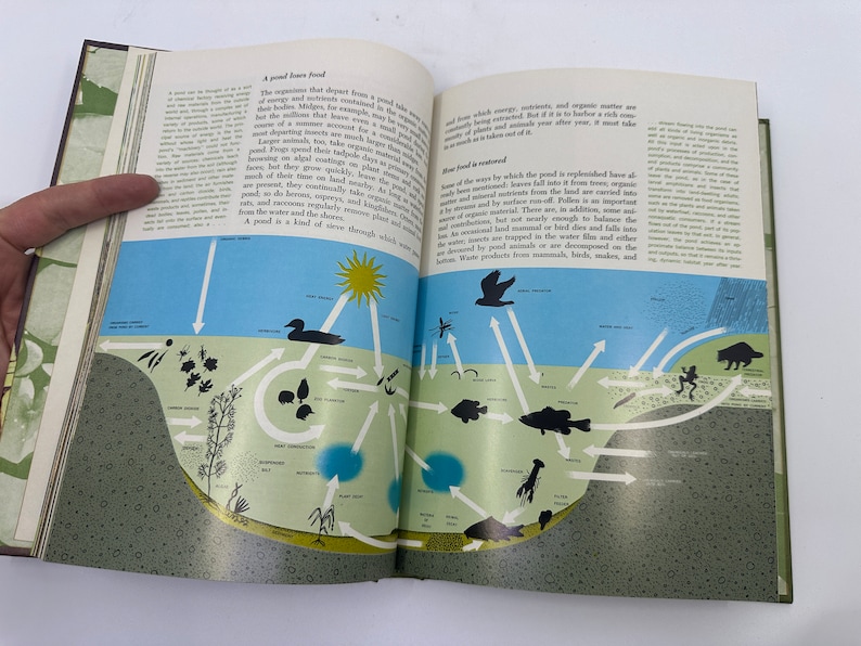 Our Living World of Nature Vintage Books on Natural Environments ...