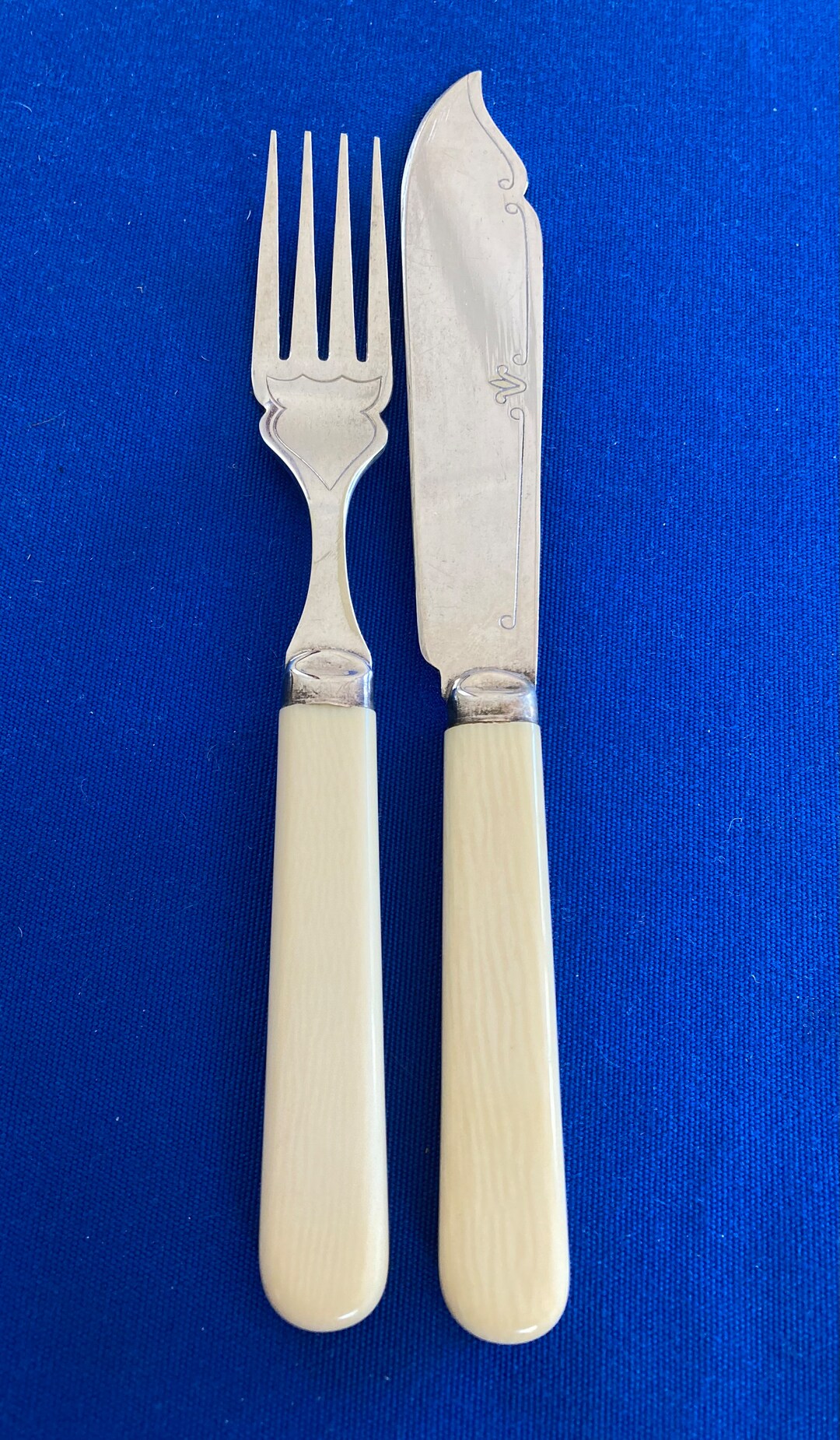 Boxed Fish Forks & Knives in Shagreen Box Set Vintage Style Elegance ...