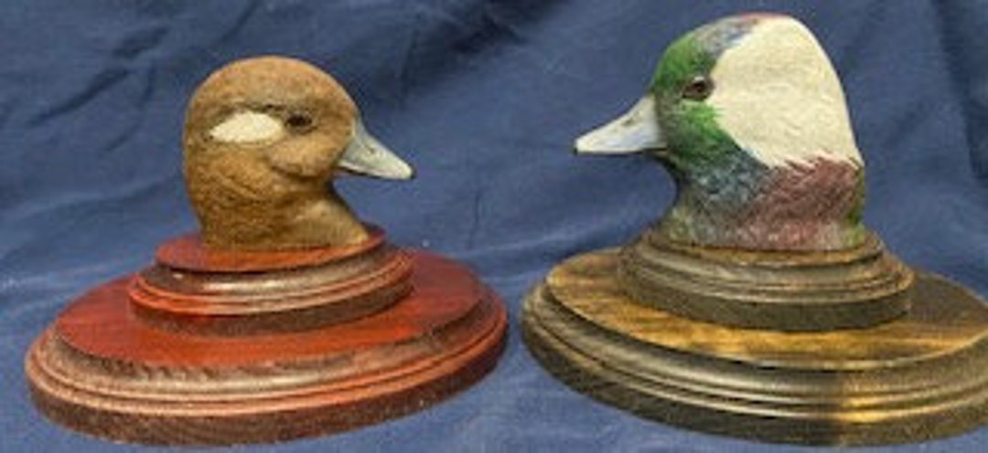 Duck buffalo Head Drake and Hen Bust - Etsy