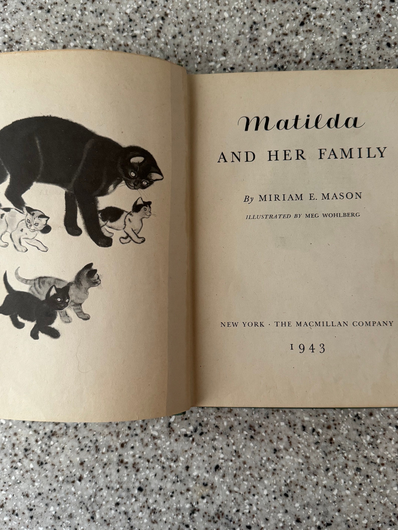 Matilda and Her Family by Miriam E. Mason. 1943. Vintage Children's ...