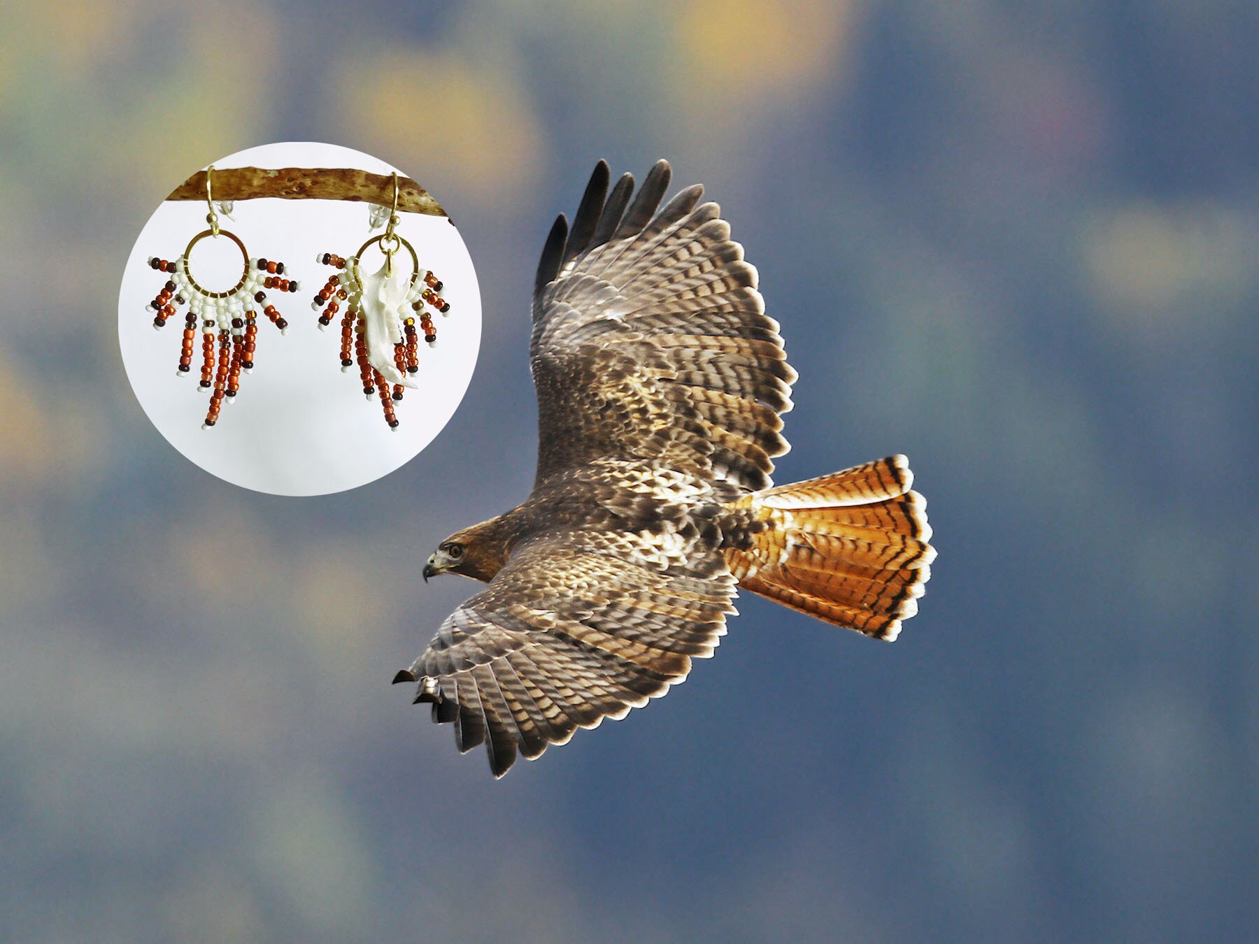 Red-tailed Hawk With Real Bone- Extra Small, Dangle Glass Bead Earrings ...