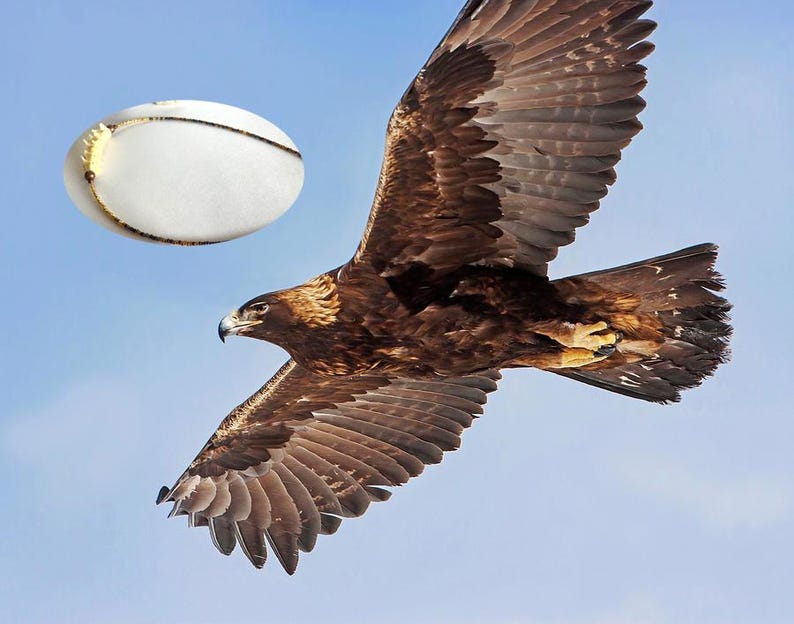 Golden Eagle With Real Bone - 17" Glass Bead Necklace. - Etsy