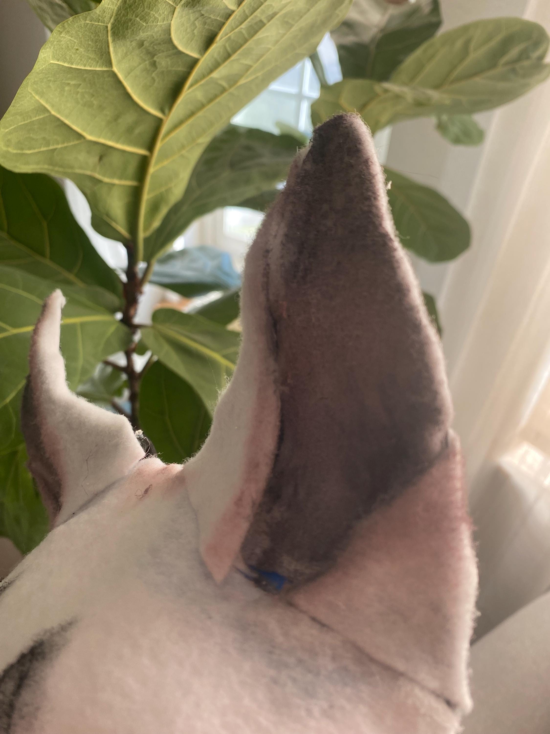 Bull Dog Mask - Etsy