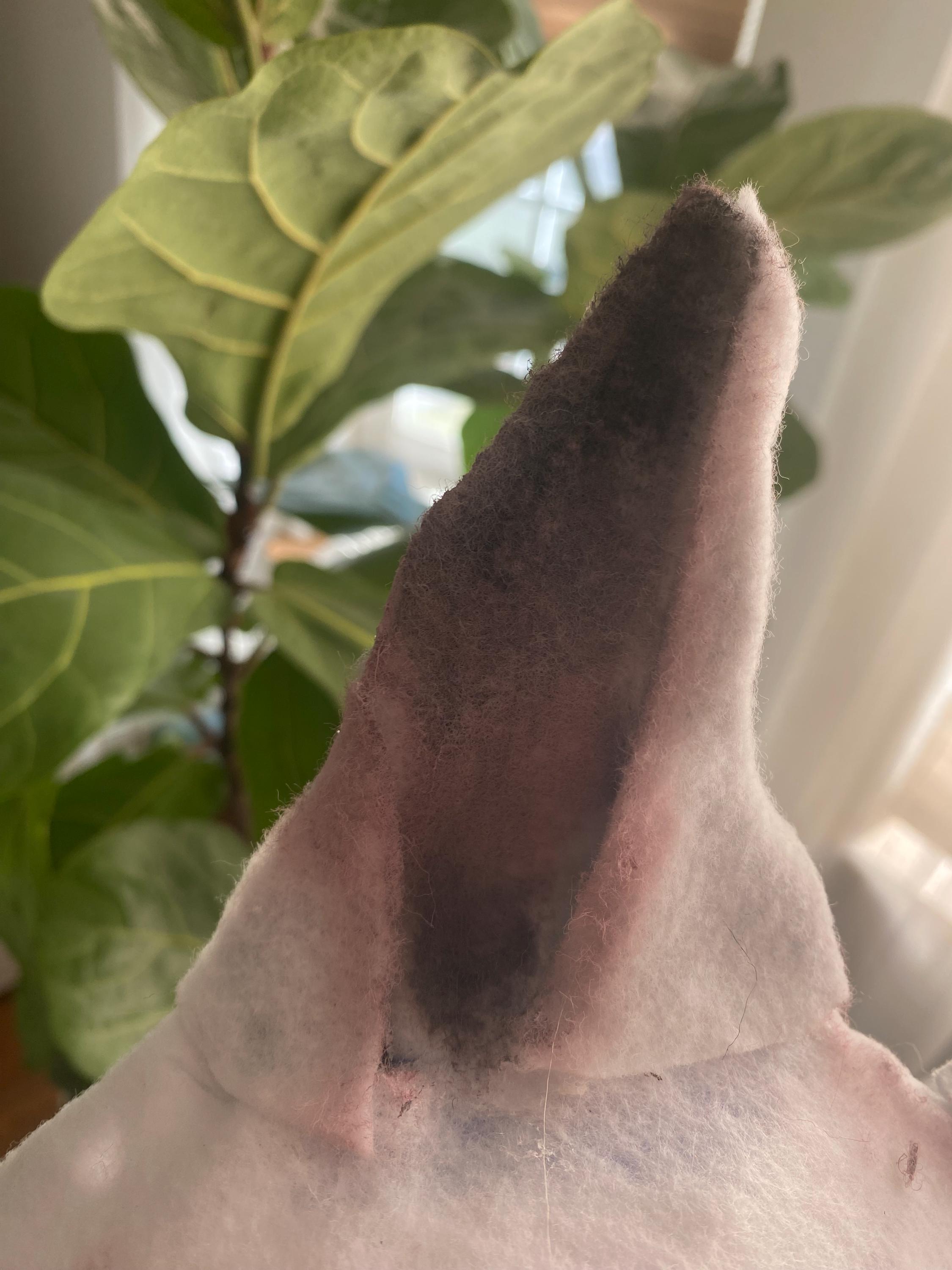 Bull Dog Mask - Etsy