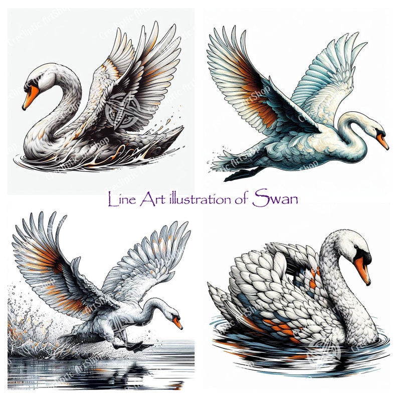 10 Beautiful Line Art Illustration of Swan - Etsy