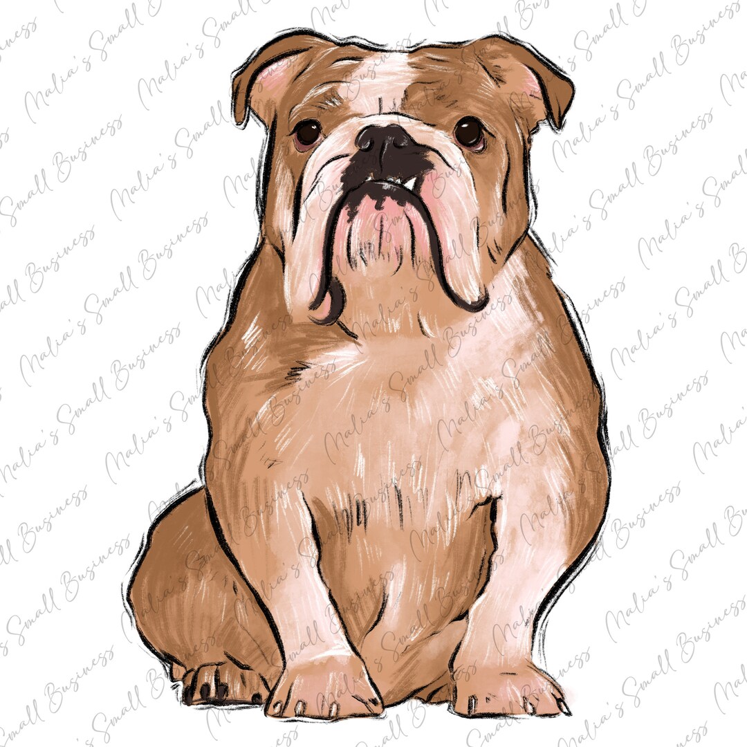 Bulldog Png Sublimation Design Download, Hand Drawn Bulldog Png, Dog ...