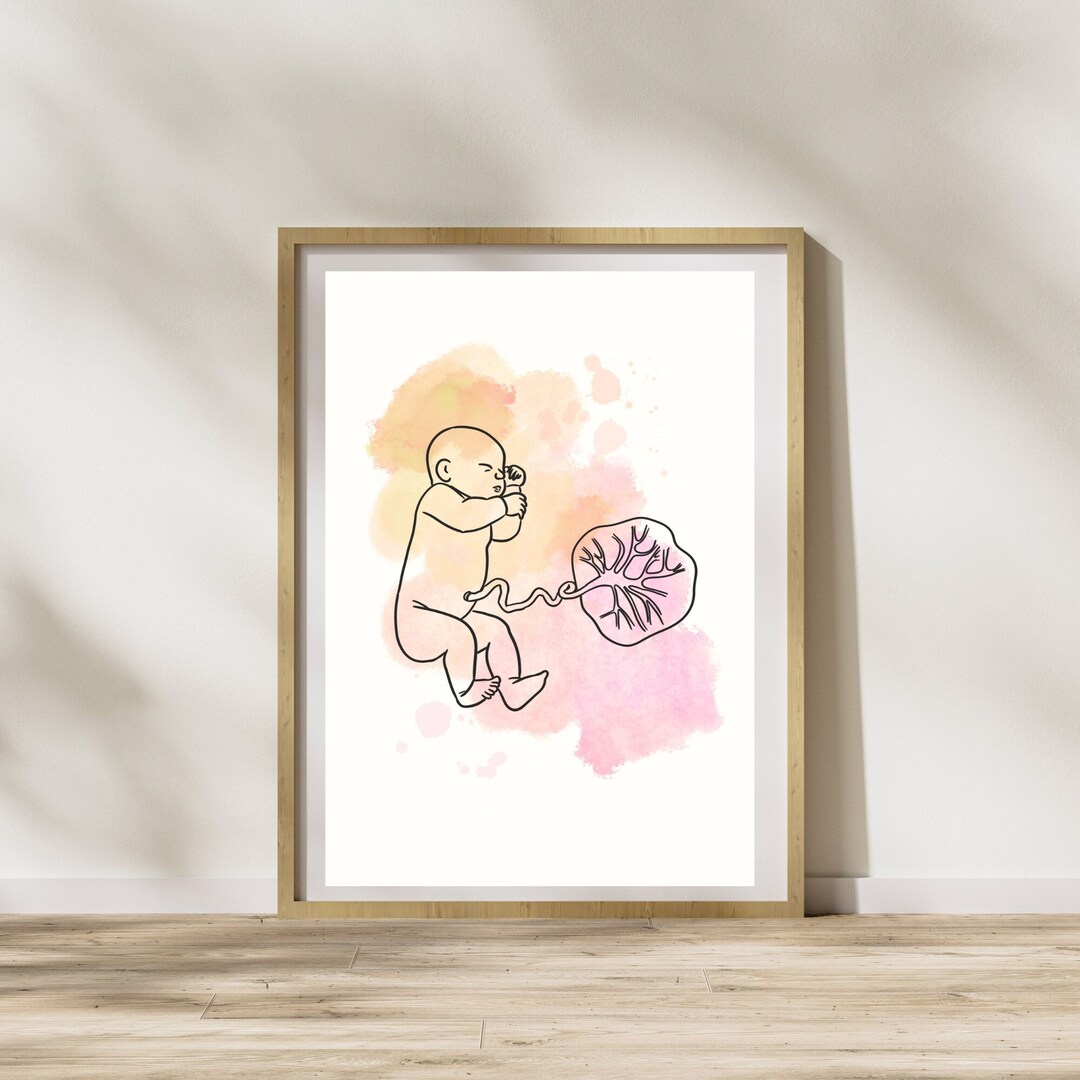 Baby and Placenta Watercolor Birth Gift Nursery Decor Medical Office ...