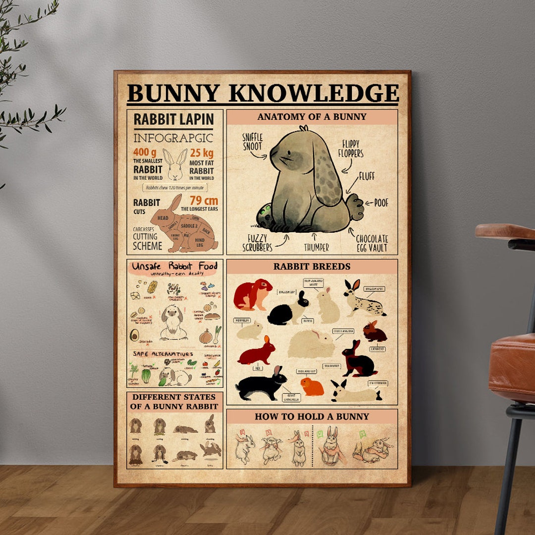 Bunny Knowledge Poster Bunnies Poster Bunny Lover Gift - Etsy