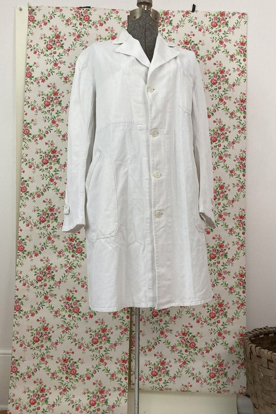 vintage 1970s french lab - Gem