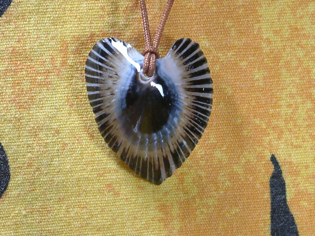 Hawaiian Opihi Shell Necklace - Etsy