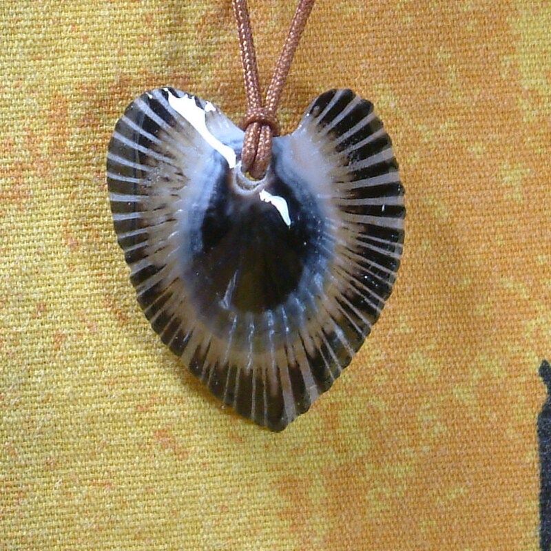 Hawaiian Opihi - Etsy