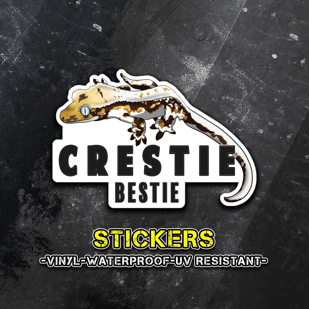Crested Gecko Sticker, Lizard Decal for Reptile Lover, Crestie Bestie ...