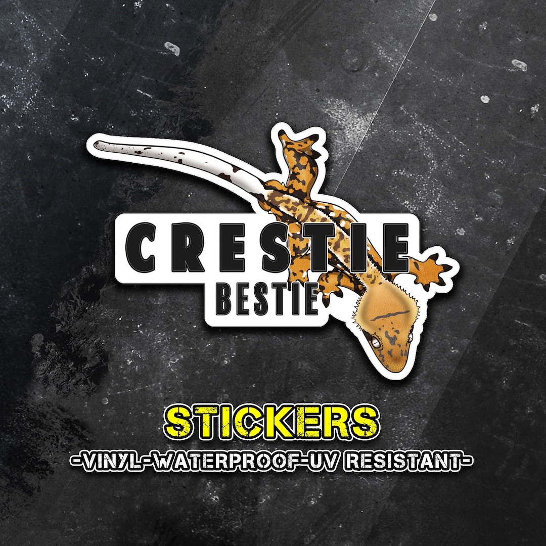 Crested Gecko Sticker, Lizard Decal for Reptile Lover, Crestie Bestie ...